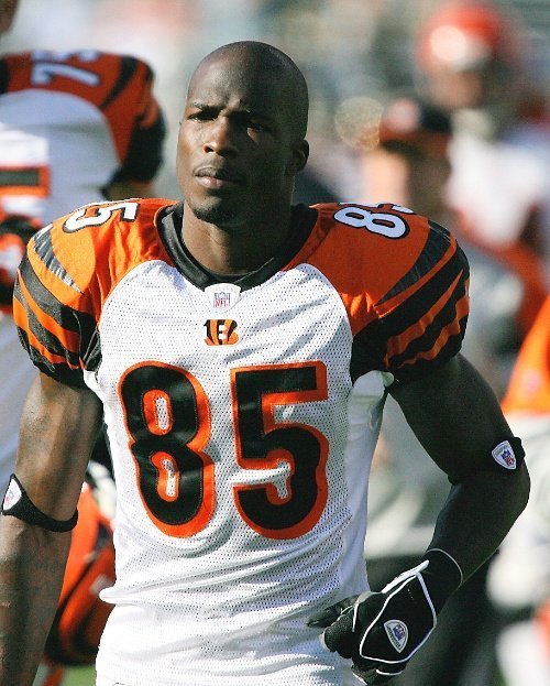 Chad Ocho Cinco (4 Sourced Quotes) - Lib Quotes