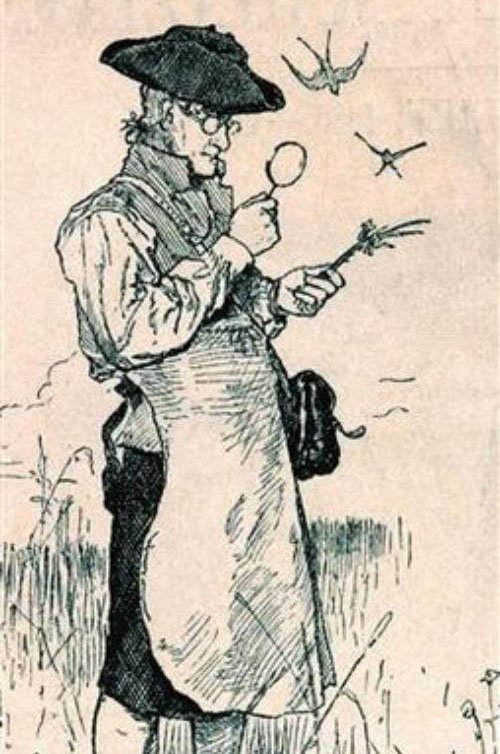 John Bartram Quotes - Lib Quotes